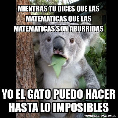 Meme Koala - mientras tu dices que las matematicas que las matematicas ...