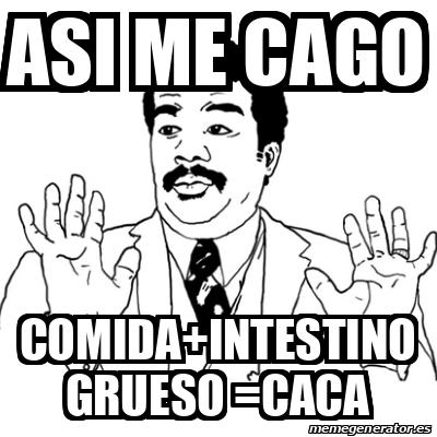 Meme Ay Si - asi me cago comida+intestino grueso =caca - 32344347