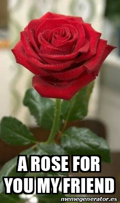 Meme Personalizado - A rose for you my friend - 32347955
