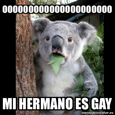 Meme Koala - ooooooooooooooooooooo mi hermano es gay - 32348611
