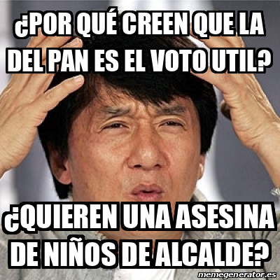 Meme Jackie Chan - ¿pOR QUÉ CREEN QUE LA DEL PAN ES EL VOTO UTIL ...