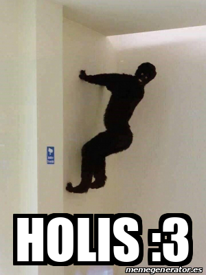 Meme Personalizado - Holis :3 - 32357292