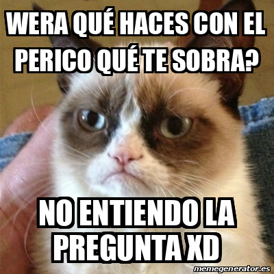 Meme Grumpy Cat - Wera qué haces con el perico qué te sobra? No ...