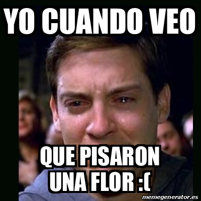 Meme crying peter parker - yo cuando veo que pisaron una flor :( - 32359665