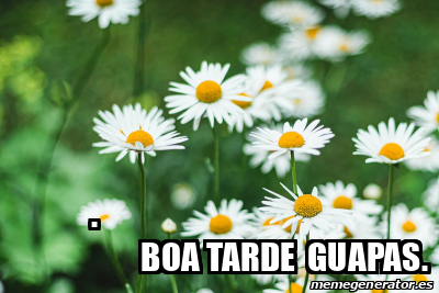 Meme Personalizado - . Boa tarde guapas. - 32361415