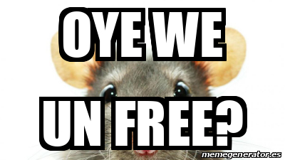 Meme Personalizado - oye we Un Free? - 32361570