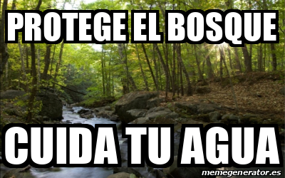 Meme Personalizado - Protege el Bosque Cuida tu Agua - 32361698