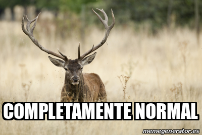 Meme Personalizado - Completamente normal - 32362619