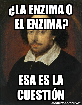 Meme Personalizado - ¿LA ENZIMA O EL ENZIMA? ESA ES LA CUESTIÓN - 32363749