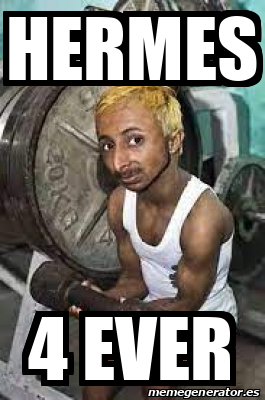Meme Personalizado - hermes 4 EVER - 32365257