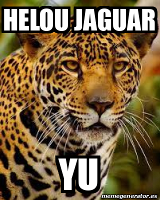Meme Personalizado - helou jaguar yu - 32369605