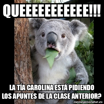 Meme Koala - Queeeeeeeeeee!!! La tía Carolina está pidiendo los apuntes ...
