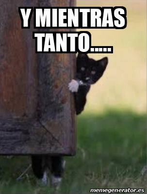 Meme Personalizado - Y mientras tanto..... - 32371308