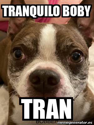 Meme Personalizado - TRANQUILO BOBY TRAN - 32376170