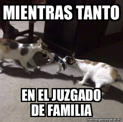 Meme Personalizado - Mientras tanto En el juzgado de familia - 32377673
