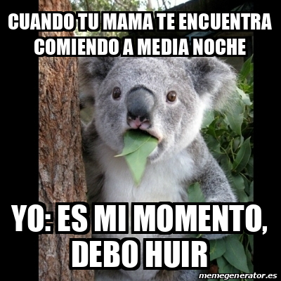 Meme Koala - CUANDO TU MAMA TE ENCUENTRA COMIENDO A MEDIA NOCHE yo: ES ...