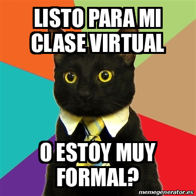 Meme Business Cat - Listo para mi clase virtual O estoy muy formal ...