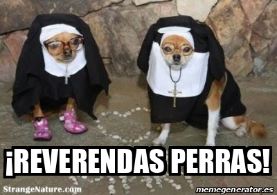 Meme Personalizado - ¡Reverendas perras! - 32384051