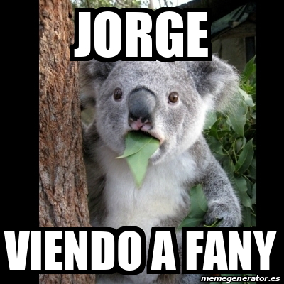 Meme Koala - jorge viendo a fany - 32386202