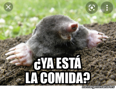 Meme Personalizado - ¿Ya está la comida? - 32388930