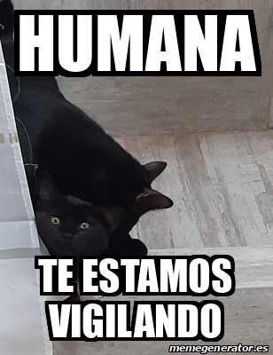 Meme Personalizado - Humana te estamos vigilando - 32389037