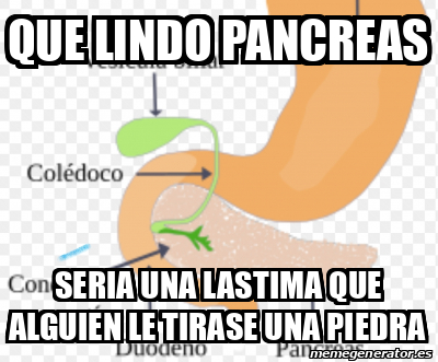 Meme Personalizado - Que lindo pancreas Seria una lastima que alguien ...
