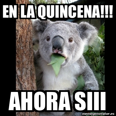 Meme Koala - En la quincena!!! ahora siii - 32390823