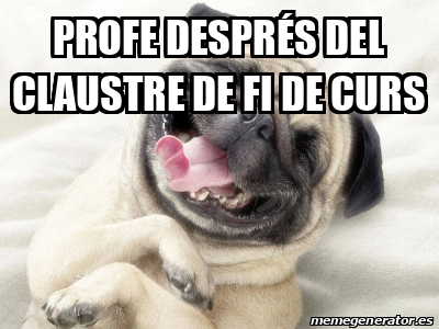 Meme Personalizado - profe després del claustre de fi de curs - 32391300