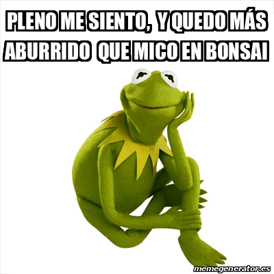 Meme Kermit the frog - Pleno me siento, y quedo más aburrido que mico ...