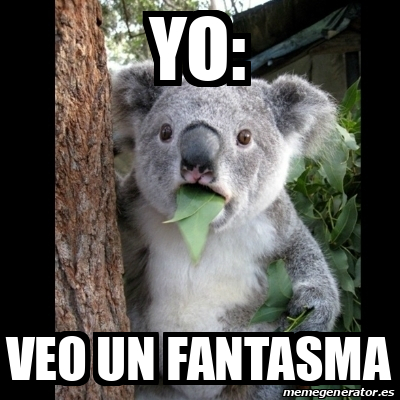 Meme Koala - yo: VEO UN FANTASMA - 32392461