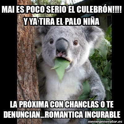 Meme Koala - Mai es poco serio el culebrón!!!! Y ya tira el palo niña ...