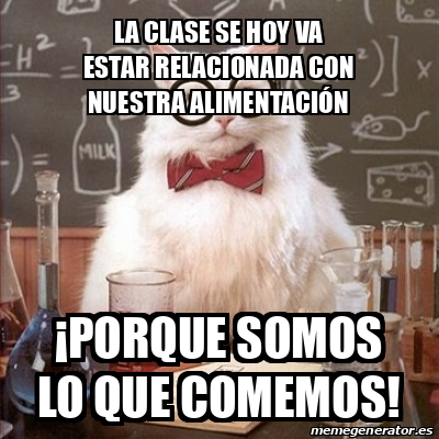 Meme Chemistry Cat - La clase se hoy va estar relacionada con nuestra ...