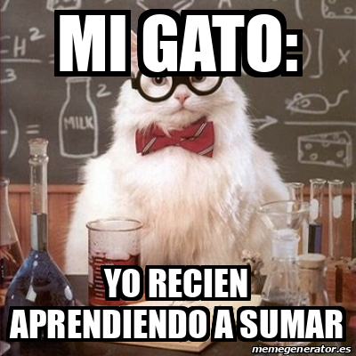Meme Chemistry Cat - mi gato: yo recien aprendiendo a sumar - 32398347