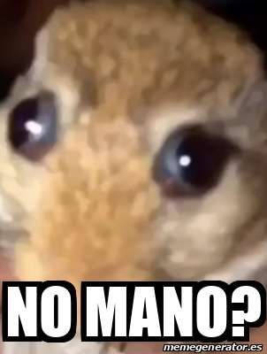 Meme Personalizado - no mano? - 32040449
