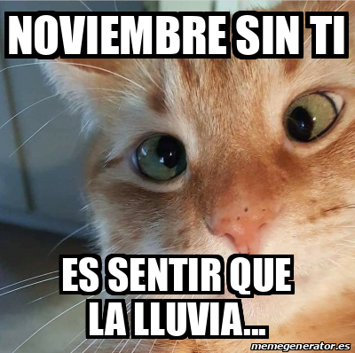 Meme Personalizado - Noviembre sin ti es sentir que la lluvia... - 32042834