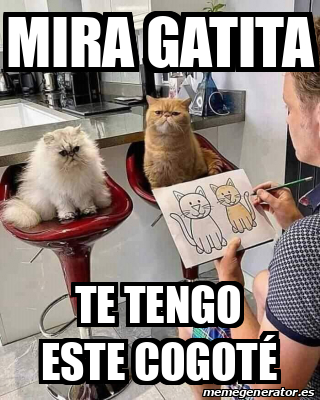 Meme Personalizado - Mira gatita Te tengo este cogoté - 32043365