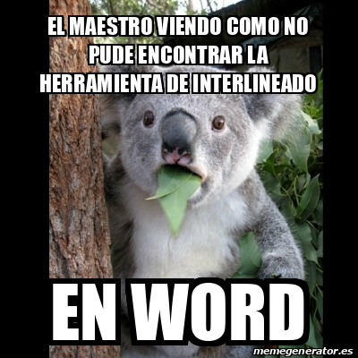 Meme Koala - el maestro viendo como no pude encontrar la herramienta de ...