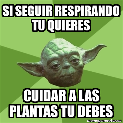 Meme Yoda - Si seguir respirando tu quieres Cuidar a las plantas tu ...