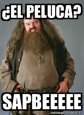 Meme Personalizado - ¿El peluca? Sapbeeeee - 32401670