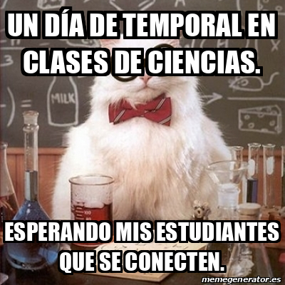 Meme Chemistry Cat - Un día de temporal en clases de ciencias ...