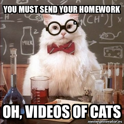 Meme Chemistry Cat - You must send your homework . Oh, videos of cats ...