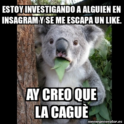 Meme Koala - estoy investigando a alguien en insagram y se me escapa un ...