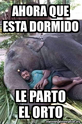 Meme Personalizado - Ahora que esta dormido Le parto el orto - 32407062