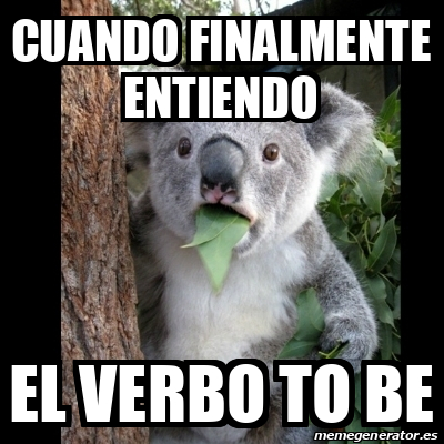 Meme Koala - CUANDO FINALMENTE ENTIENDO EL VERBO TO BE - 32408085