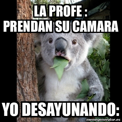 Meme Koala - la profe : prendan su camara yo desayunando: - 32411686