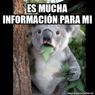 Meme Koala - Es mucha información para mi - 32414423