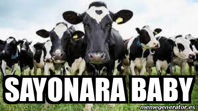 Meme Personalizado - SAYONARA BABY - 32421191