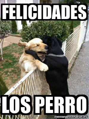Meme Personalizado - Felicidades Los perro - 32421219
