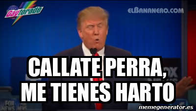 Meme Personalizado - CALLATE PERRA, me tienes harto - 32423211