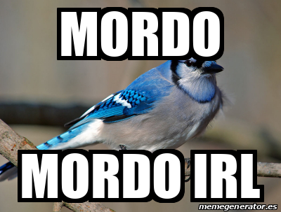 Meme Personalizado - Mordo mordo irl - 32423954